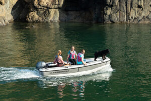 Aspen Carbon Cat | Carbon Fiber Tender | Made in the USA