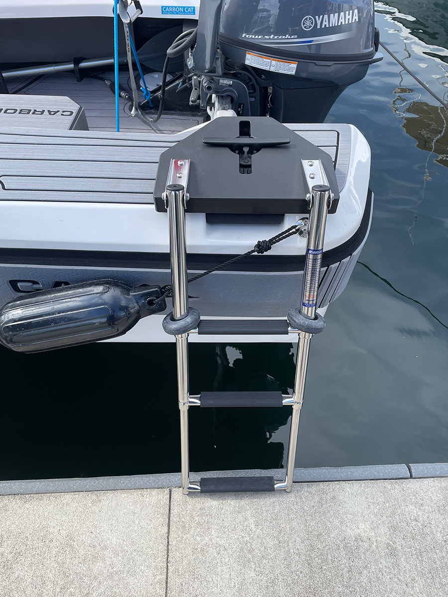 Price Your Carbon Cat | Aspen Carbon Cat